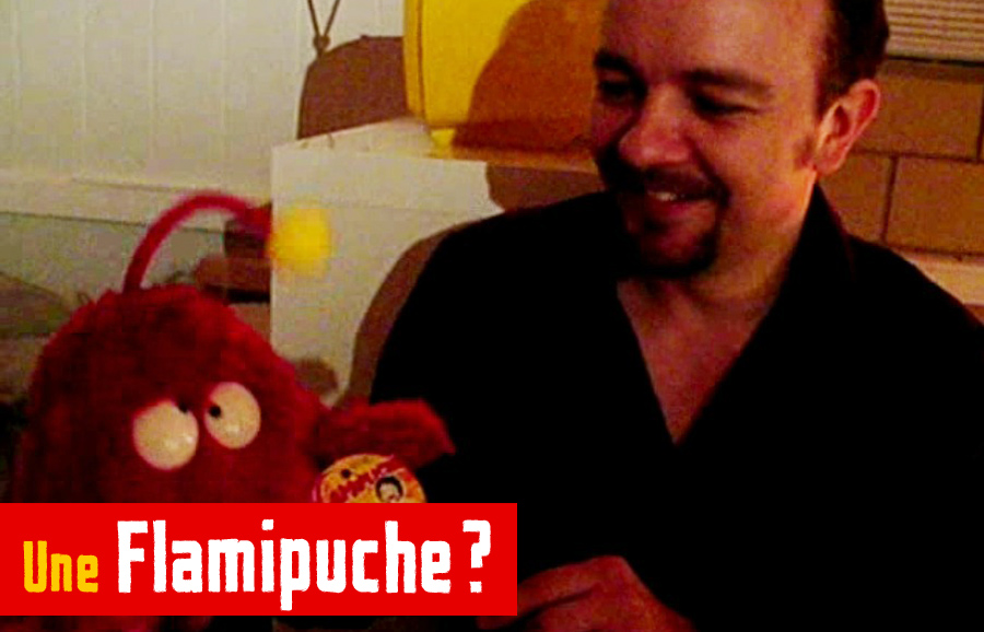 Arnaud découvre sa Flamipuche ! | Osibo News